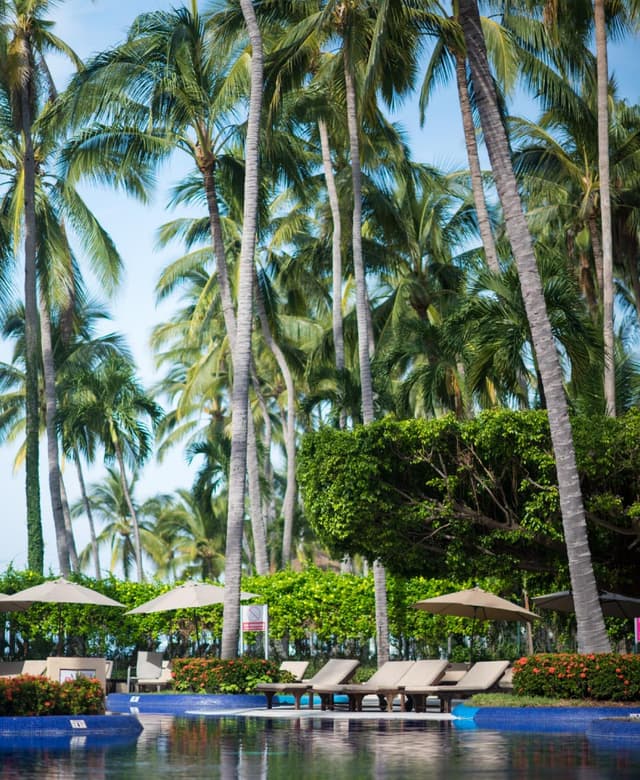 Club Regina Puerto Vallarta | Learn About Our Hotel